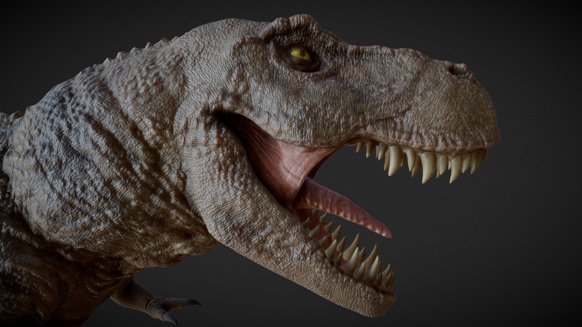 T-rex - 3D model by mrdanyboy [3449189] - Sketchfab
