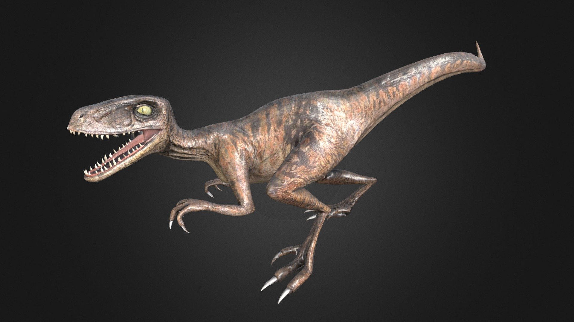 Velociraptor - 3D model by jacksteel [344bed5] - Sketchfab