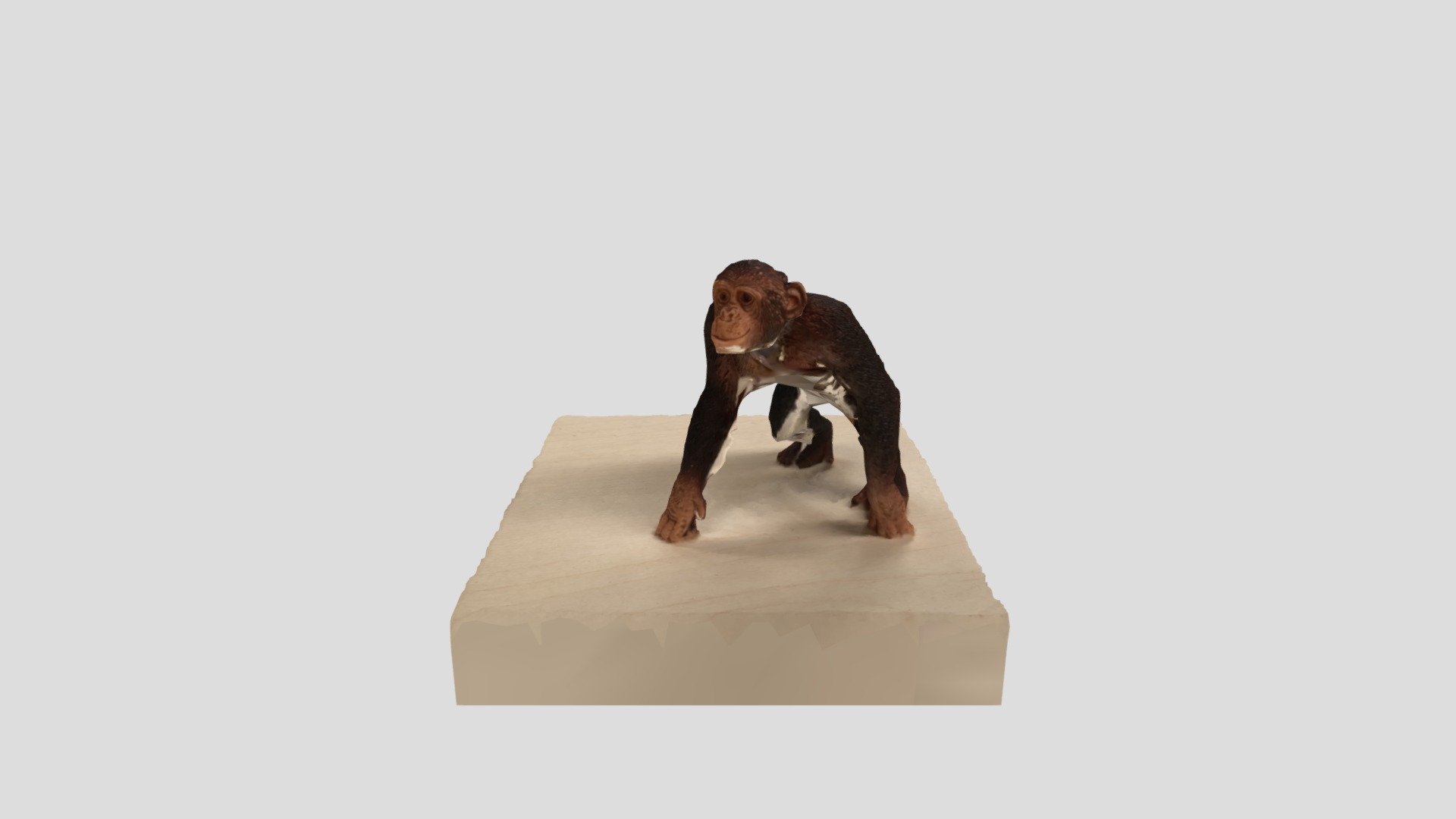 MOGEY - Download Free 3D model by MaxBainbridge (@Maxiswell) [3463b00 ...