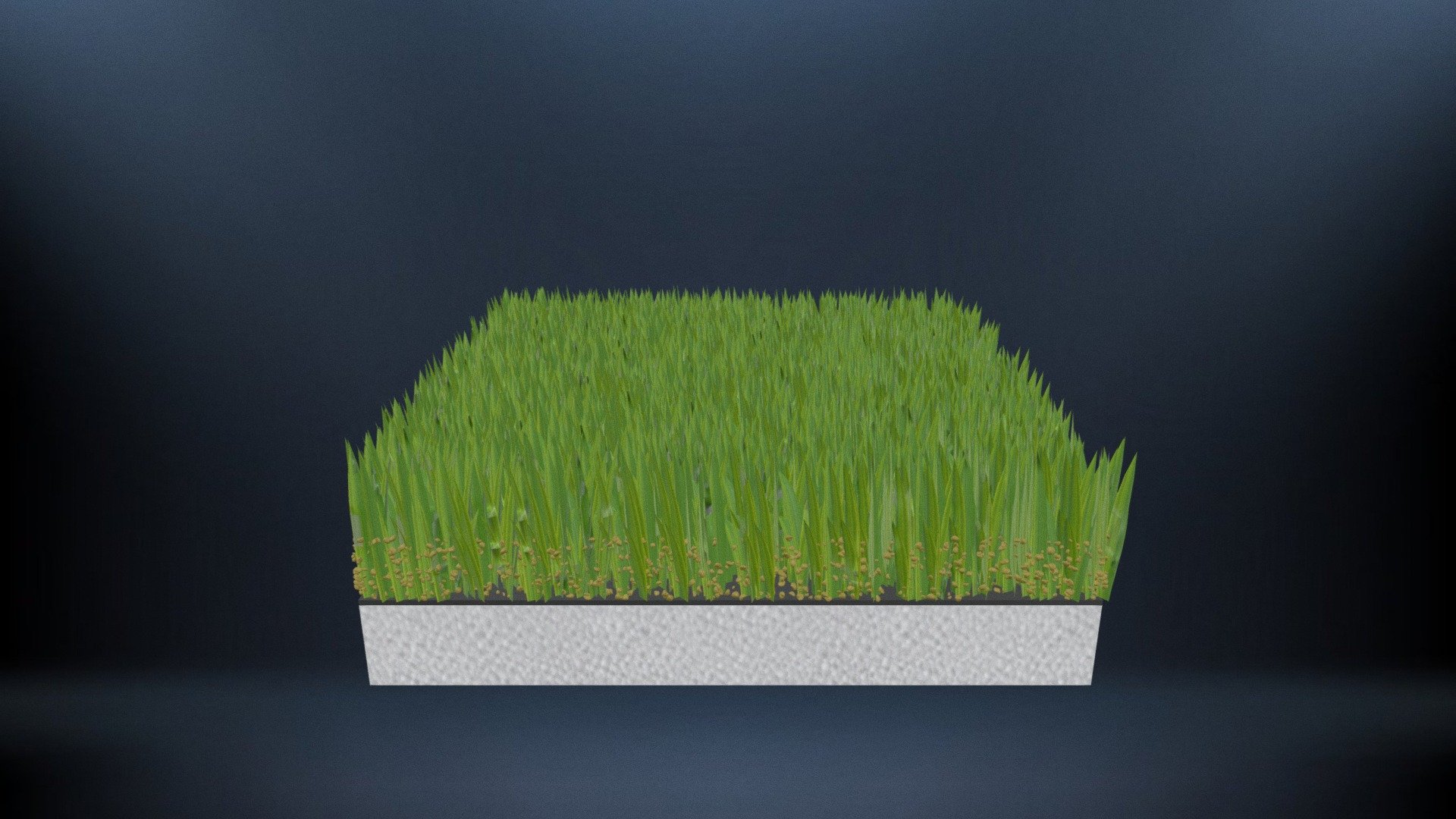 Turf-optimized - 3D model by Holt_Interactive (@HoltInteractive ...