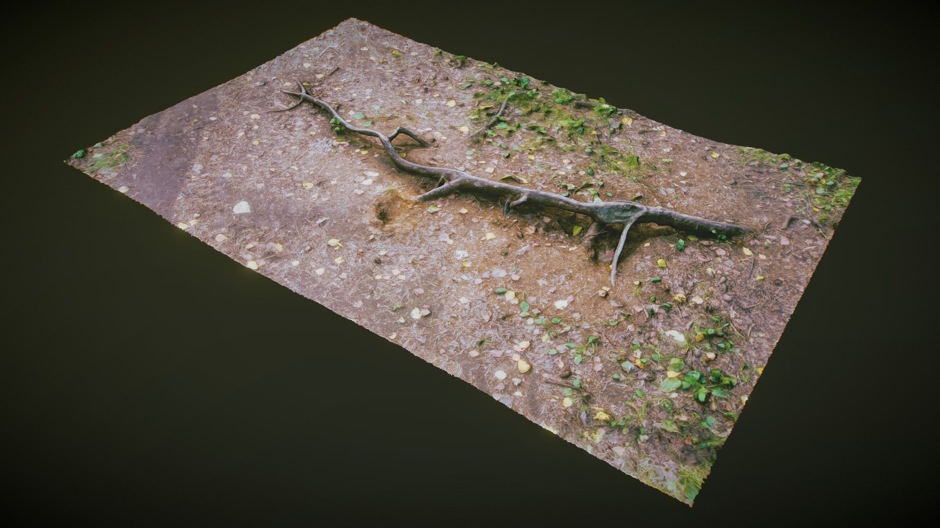 Tree Roots 02 [RAW] - Download Free 3D model by Alexander Komendant ...