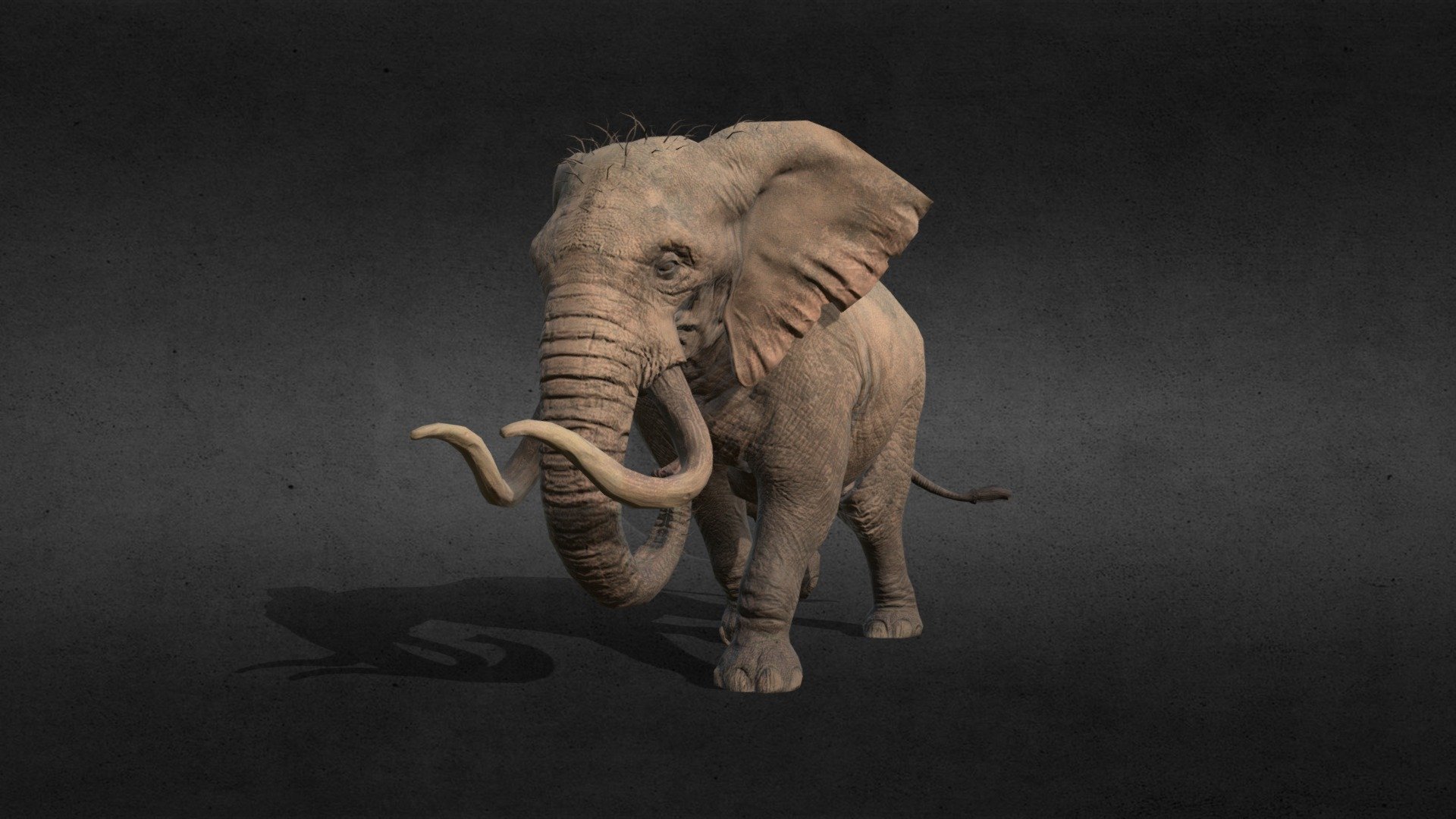 Elephant Animation Walk - Buy Royalty Free 3D model by GremorySaiyan ...