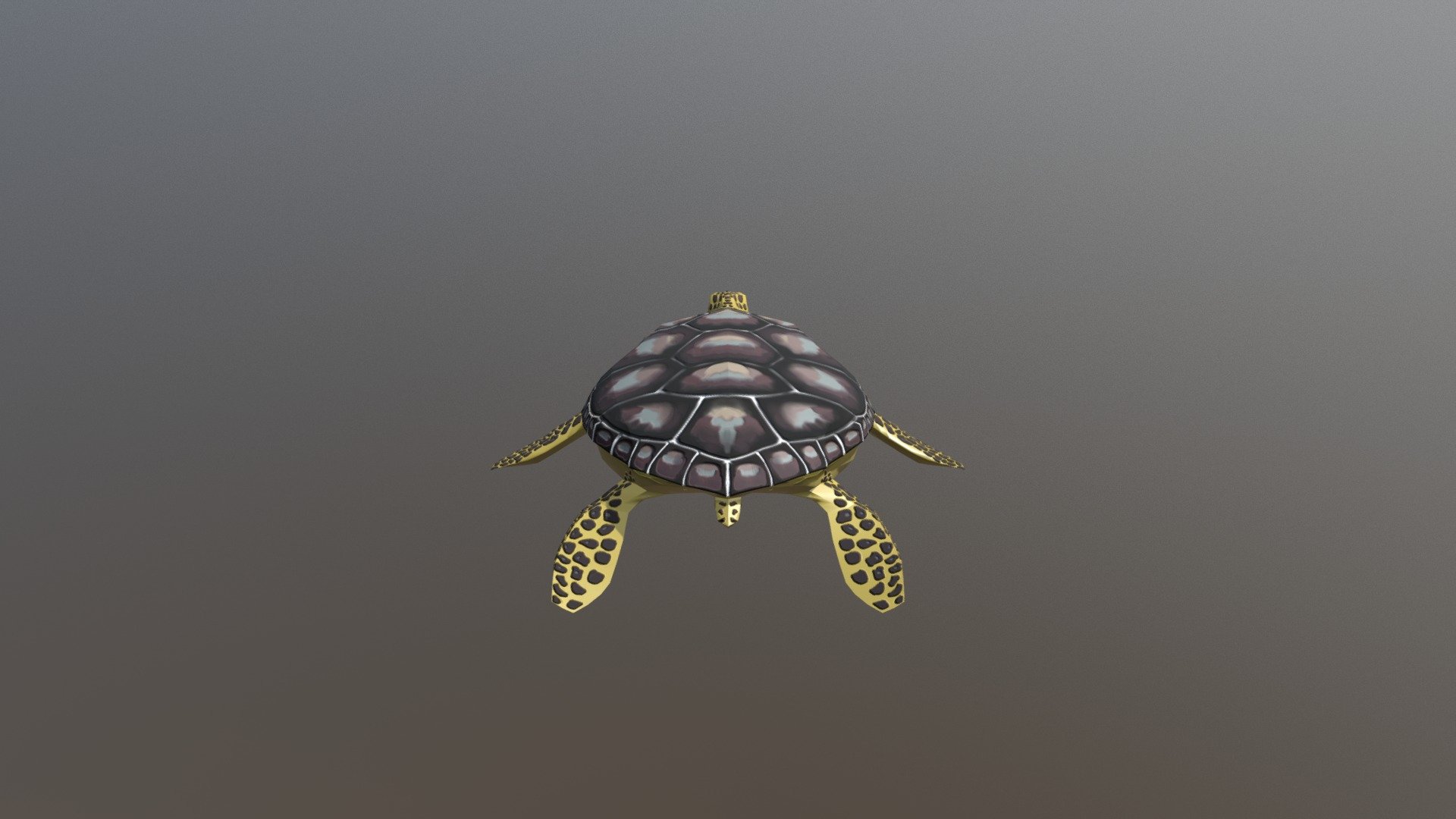 Turtle Model - 3D model by CameronMcM [347cb3c] - Sketchfab