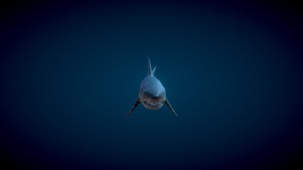 Shark - 3D model by digistring [347d6a9] - Sketchfab