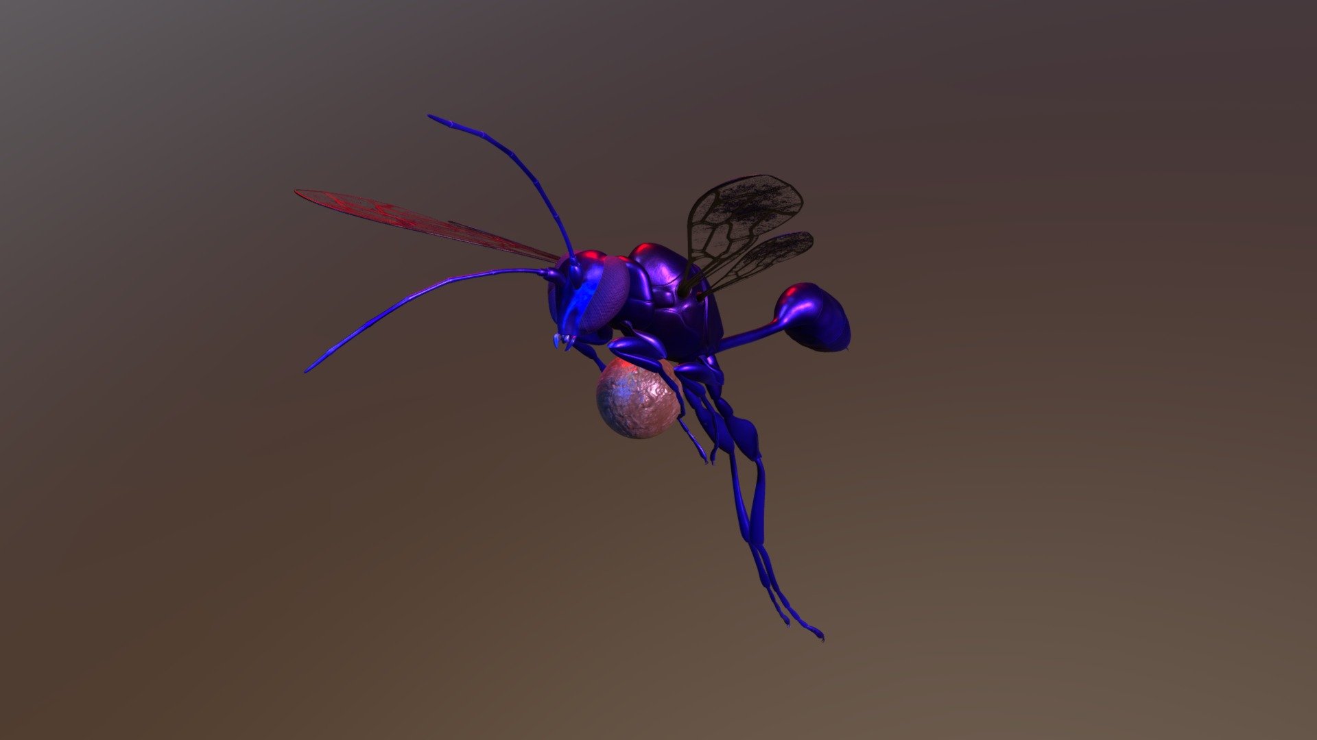 Wasp - 3D model by Jeevas [347f675] - Sketchfab