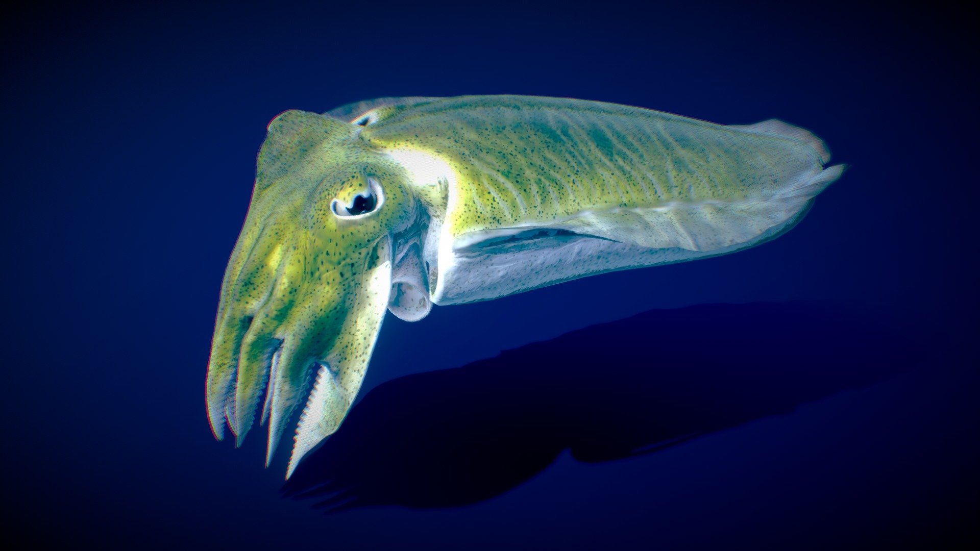Golden Cuttlefish - 3D model by Nestaeric [3480434] - Sketchfab