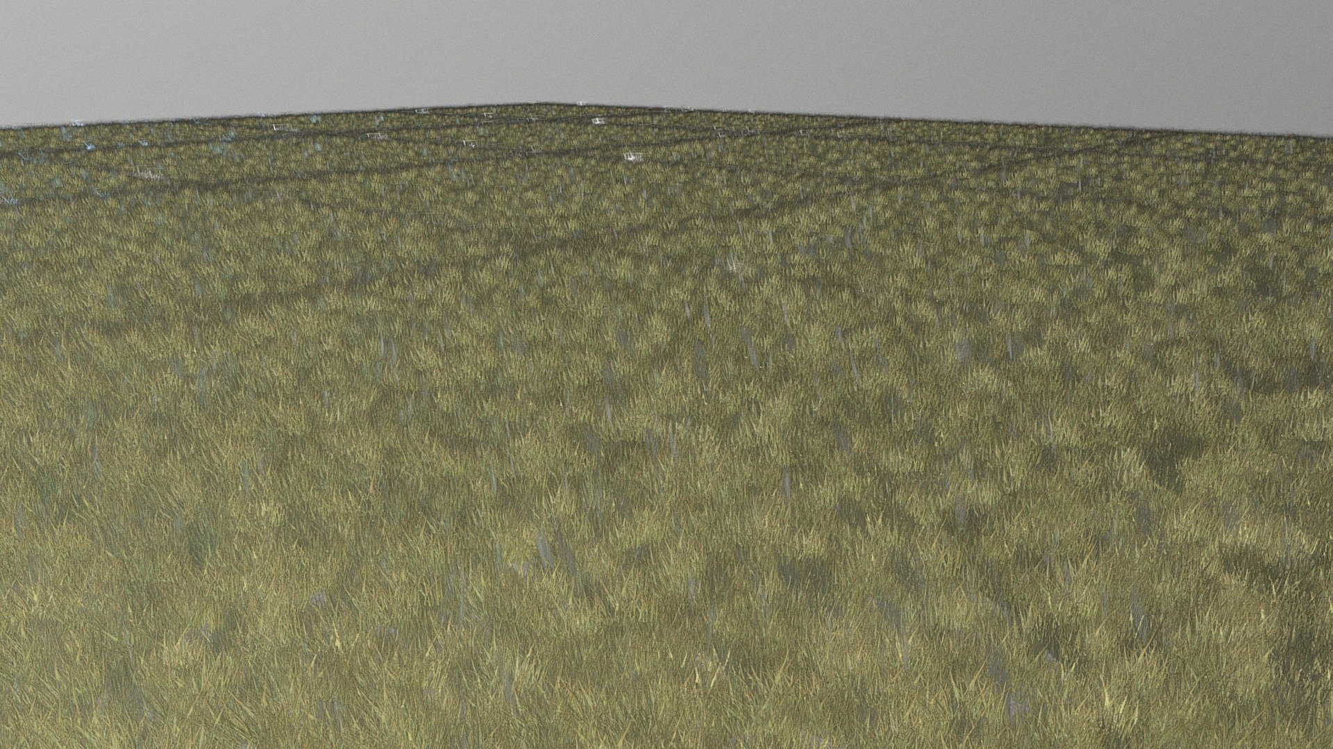 Grass2 - Download Free 3D model by ferike2001 [348cf20] - Sketchfab