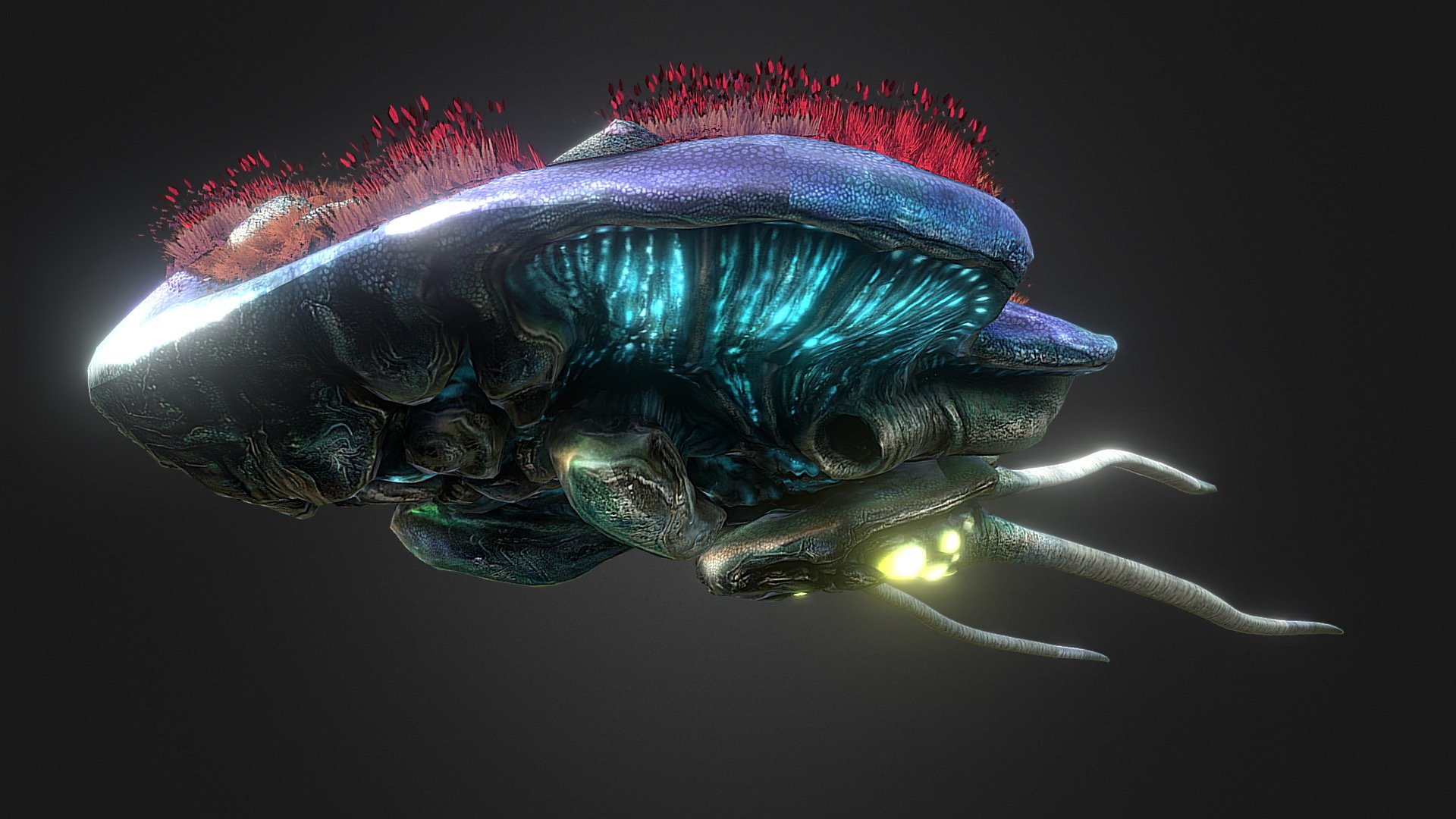 Reefback - Download Free 3D model by gavinpgamer1 [34922d3] - Sketchfab