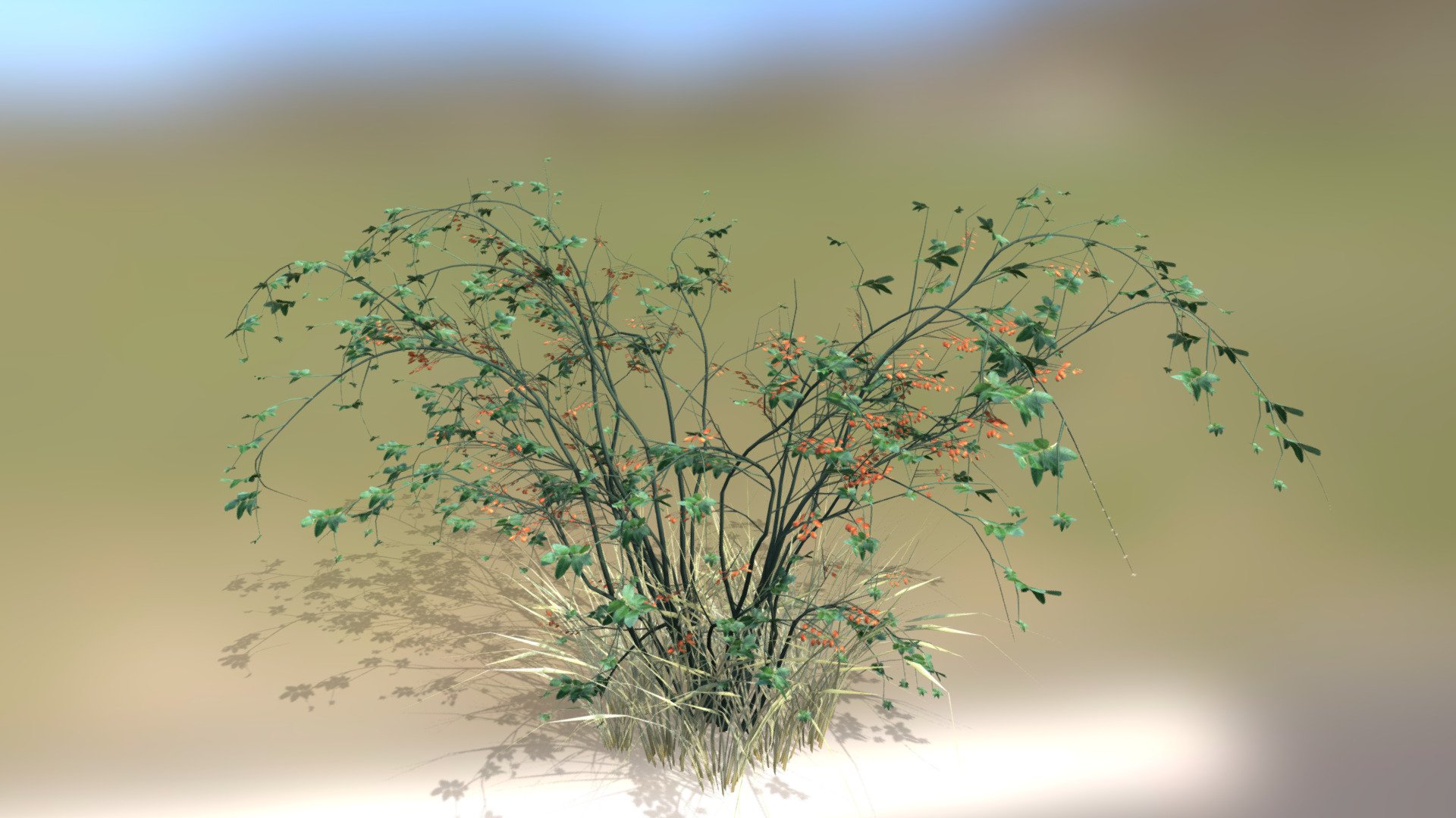 Dog Rose (Rosa canina) - 3D model by Paleobiome [34a106b] - Sketchfab