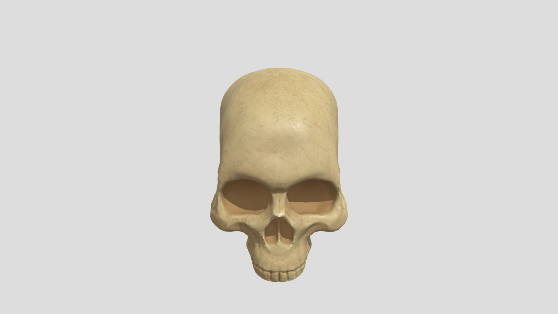 SKULL - 3D model by chloe.allen [34a4958] - Sketchfab