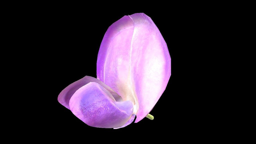 Bloom3 - 3D model by winexplore [34a5529] - Sketchfab