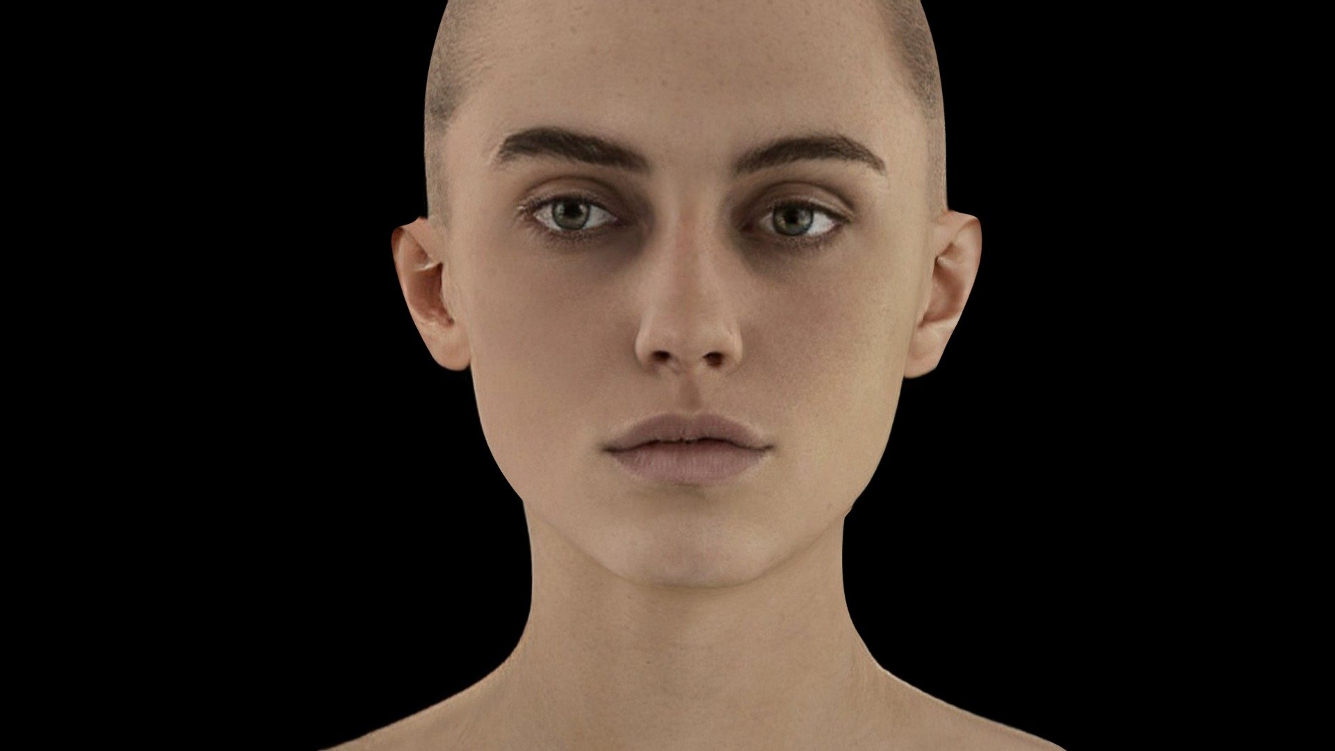 Human Dignity Collection | www.acuteline.com - Download Free 3D model ...