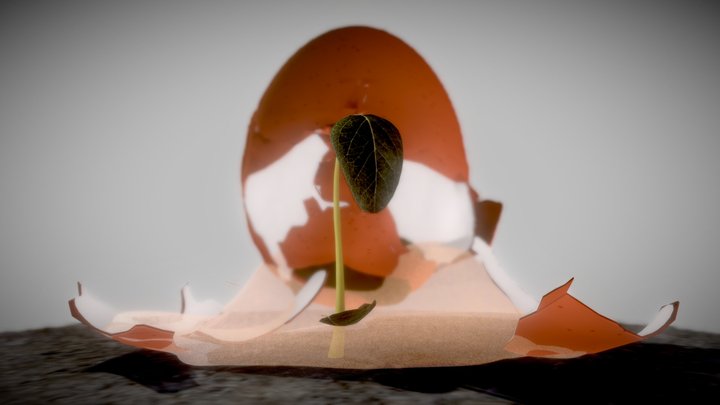 Sprout 3D models - Sketchfab