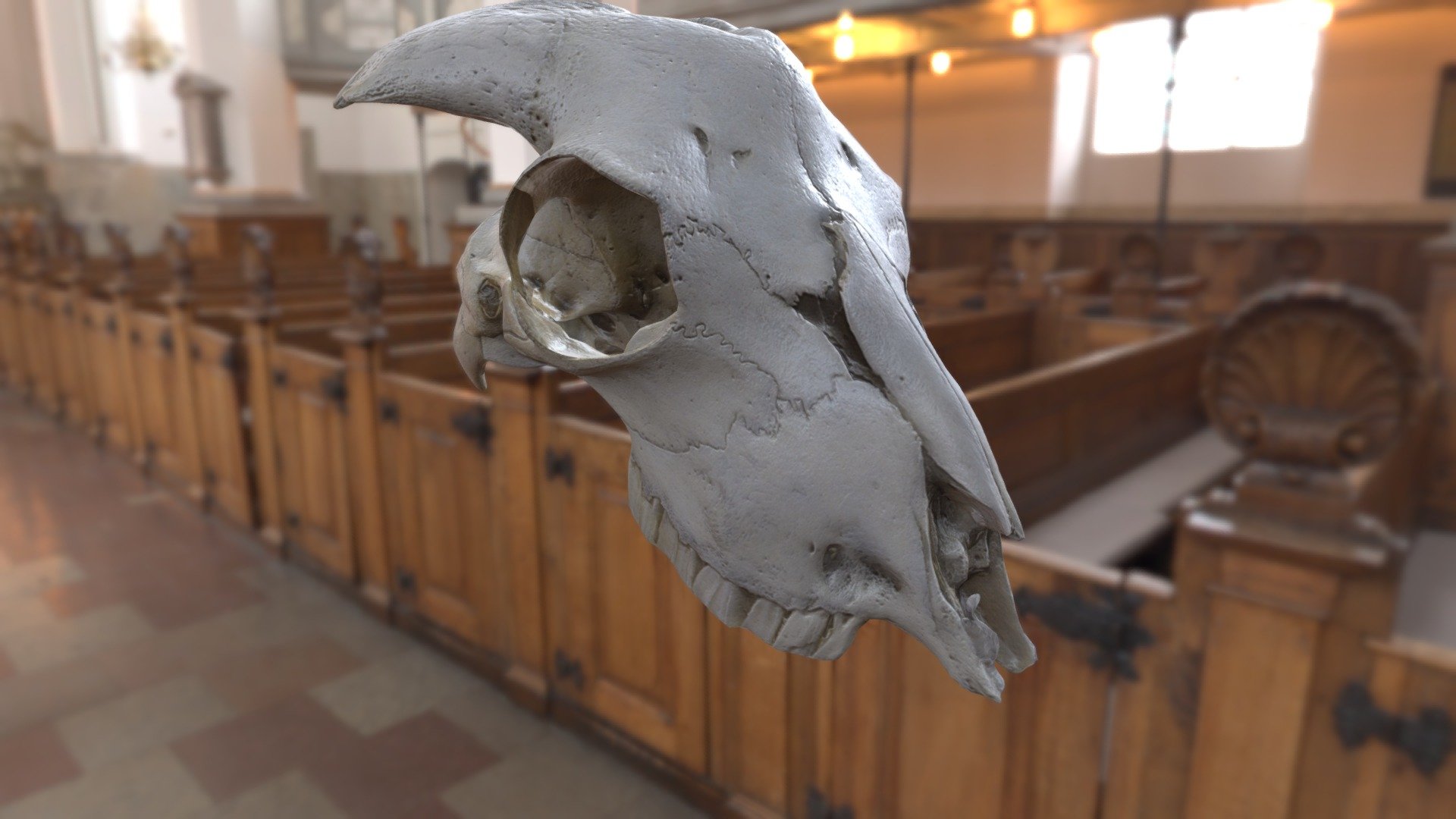 CARCASS - Download Free 3D model by Luar.Larep [34b70c7] - Sketchfab