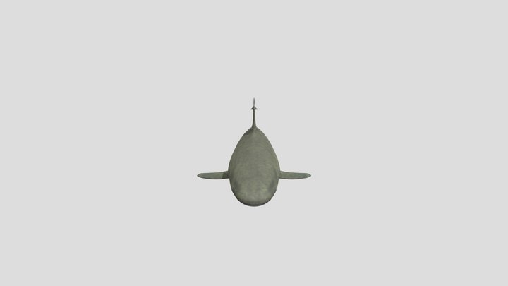 Ikan 3D models - Sketchfab