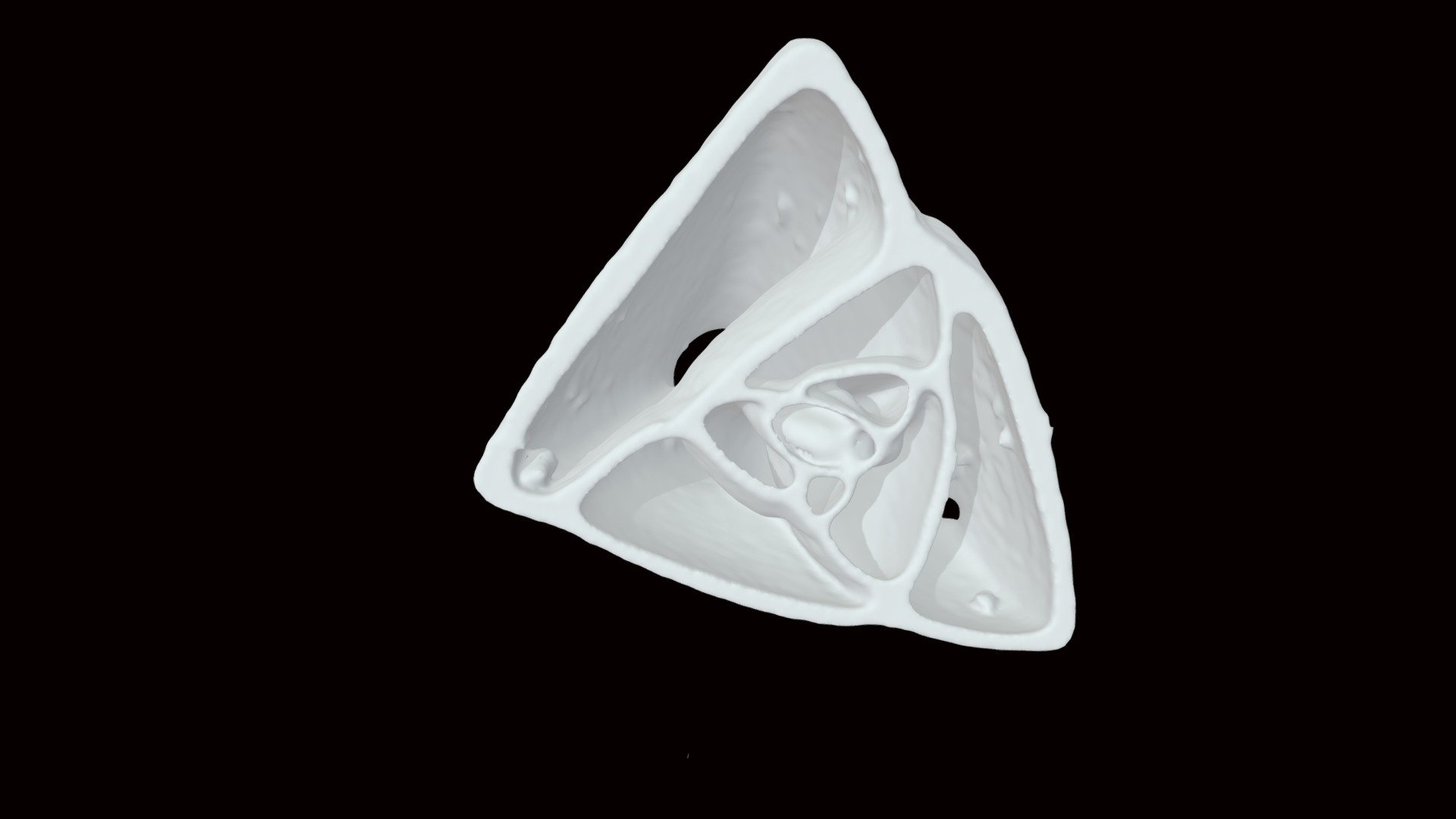 Triloculina (aperture half) - Download Free 3D model by ...