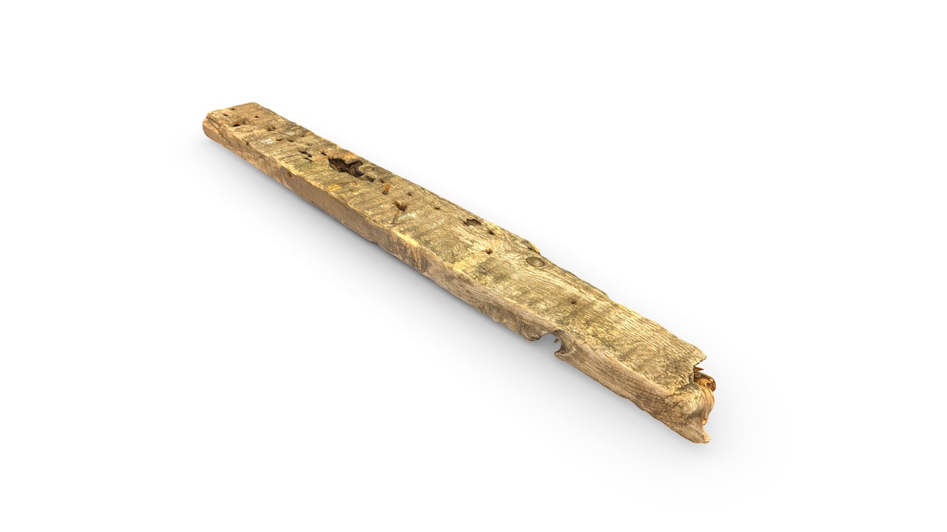 Rotting Board - 3D model by RawCatalog.com (@rawcatalog) [34bf9ec ...