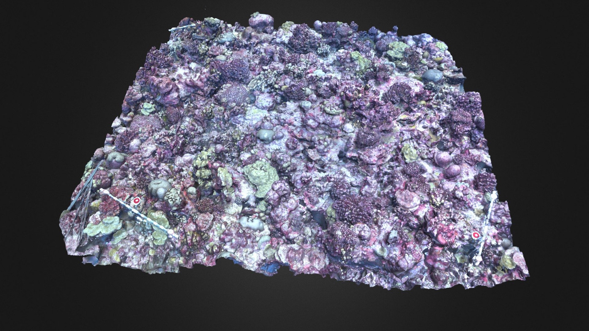 July 2019 Vaskess Bay, Kiritimati, Kiribati - 3D model by baumlab ...