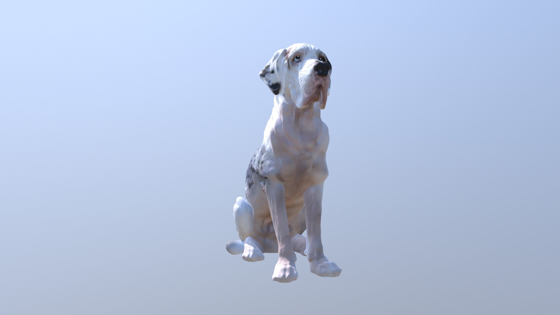 Neo - 3D model by Arty Lobster - Pet Sculptures Made Simple ...