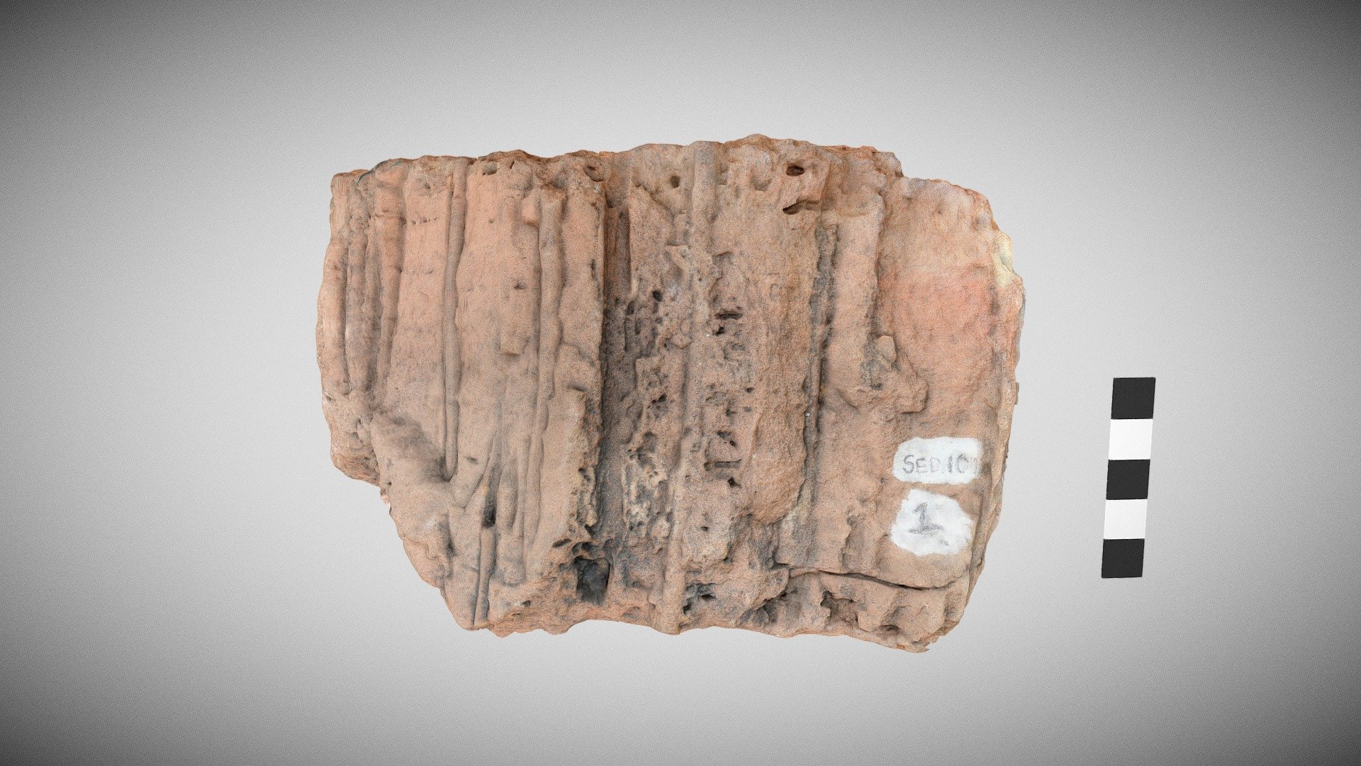 Skolithos - Download Free 3D model by UQ School of the Environment (@UQ ...