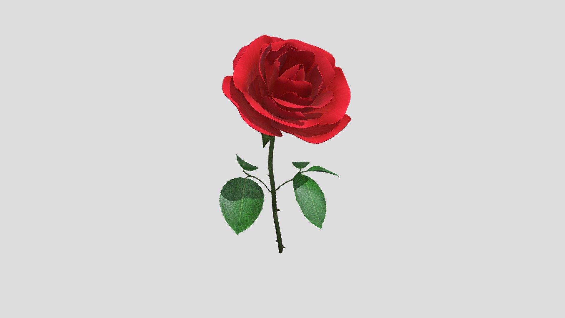 Mawar - 3D model by DariaHerlina [34d444a] - Sketchfab
