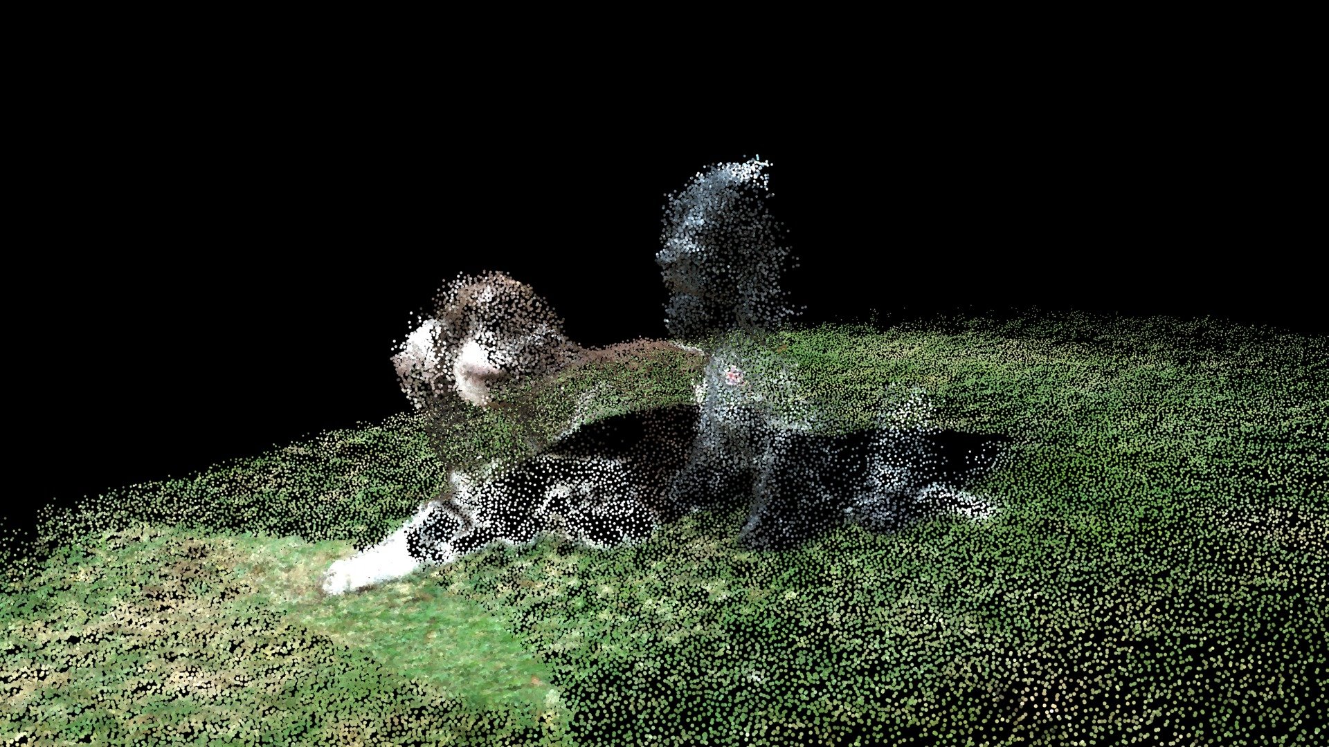 3D scan of my dogs - Manu & Joaquim - 3D model by Michelle Hessel ...