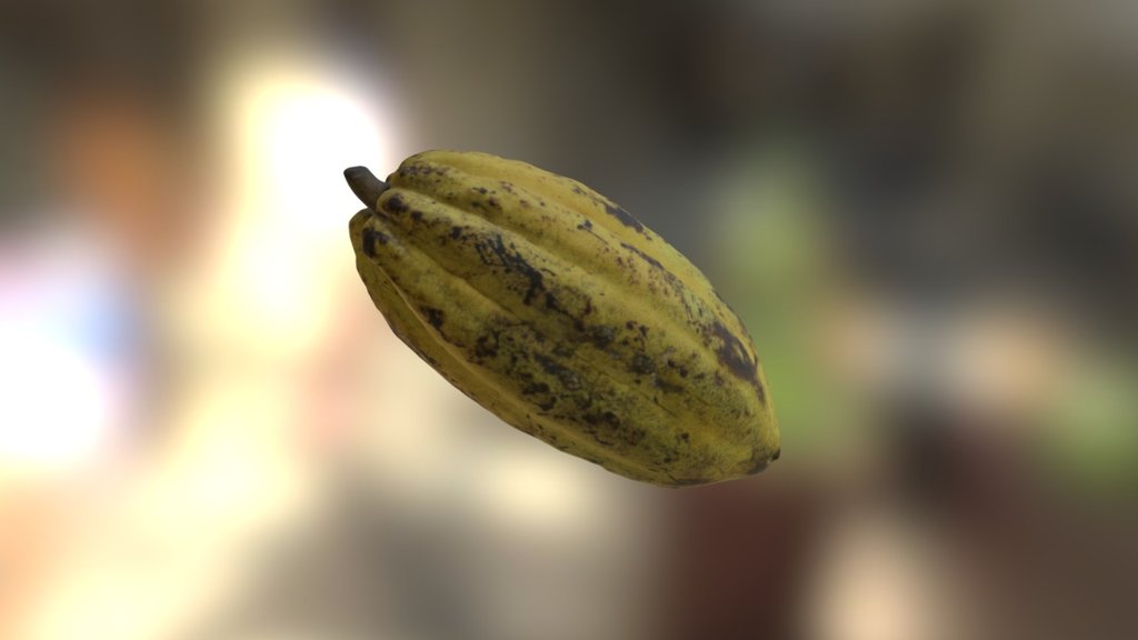 Cacao Pod - 3D model by Diana_Cruz [34d9a97] - Sketchfab