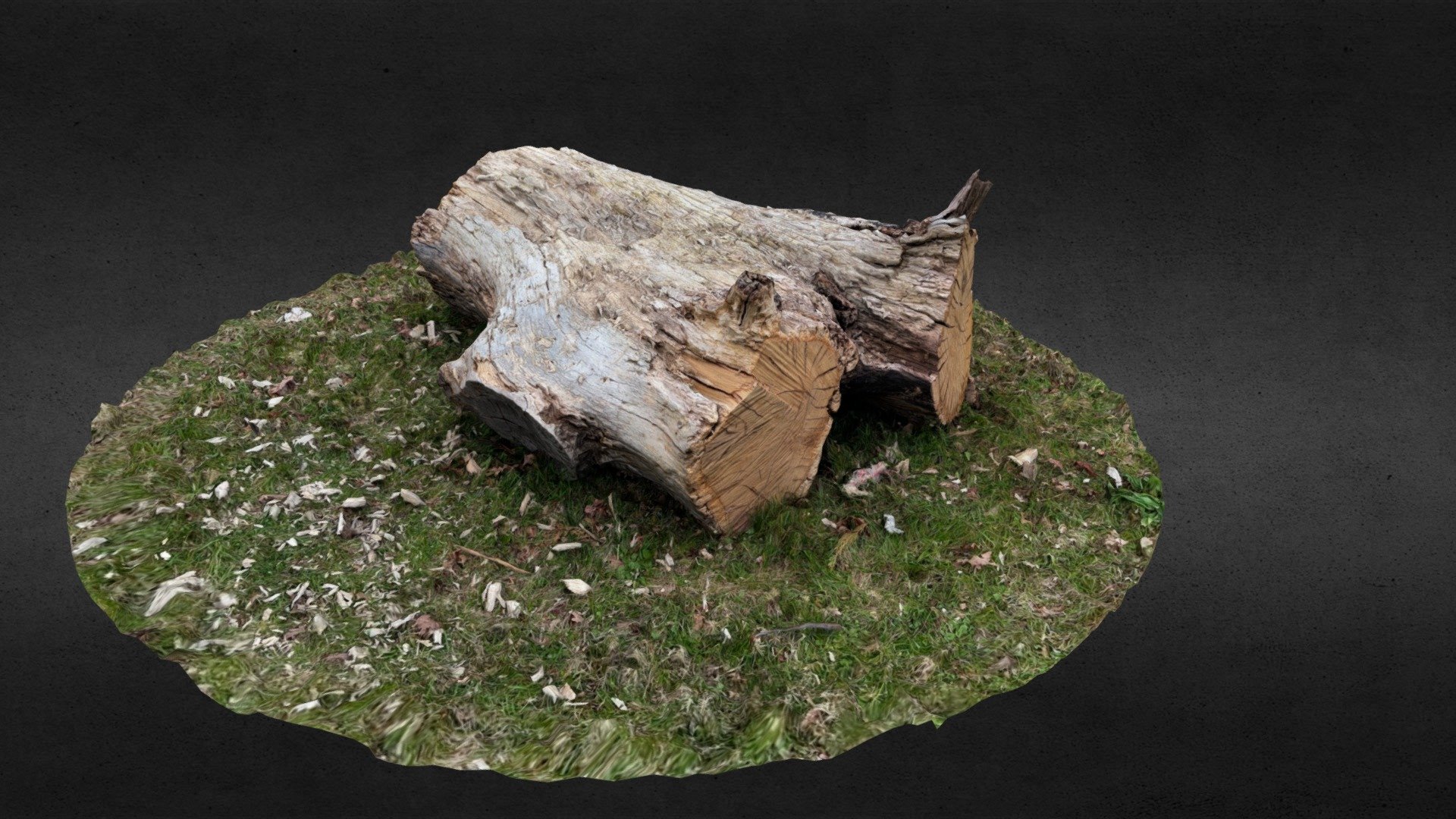 Dead Trunk - Download Free 3D model by therealfake [34da6dd] - Sketchfab