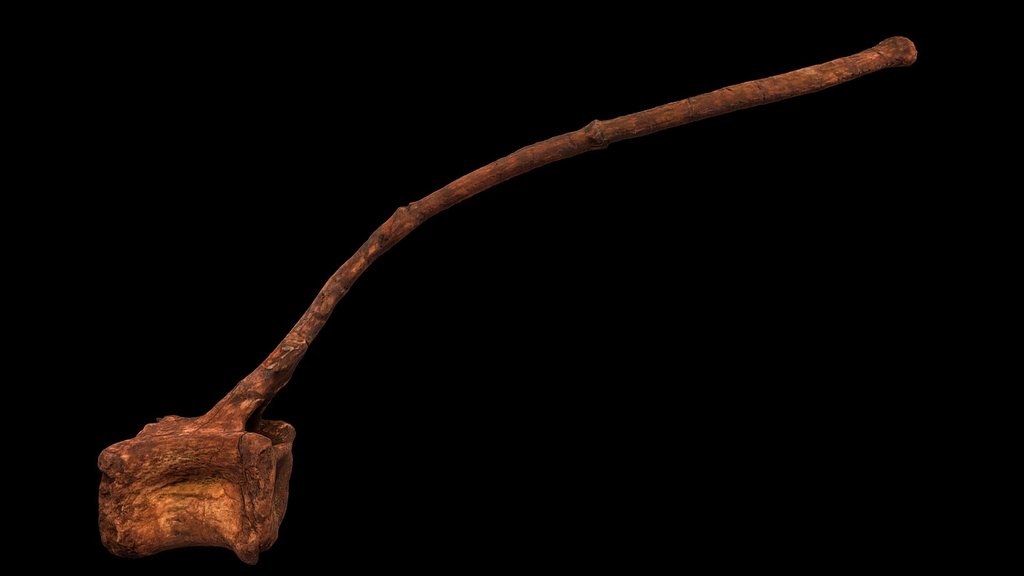 Spinosaurus aegyptiacus neotype - A 3D model collection by Gabriele ...