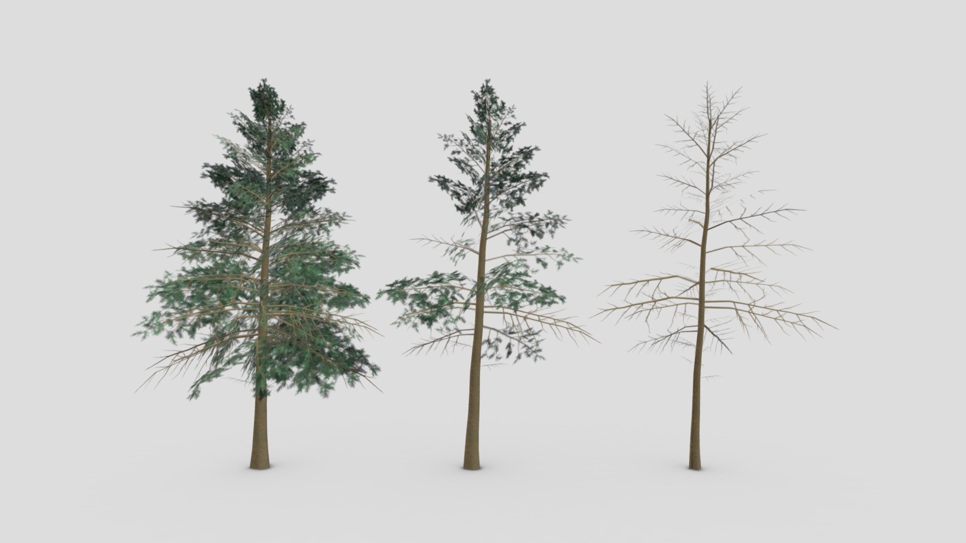 Pine Tree- Lowpoly- Pack- 01 - Buy Royalty Free 3D model by ASMA3D ...