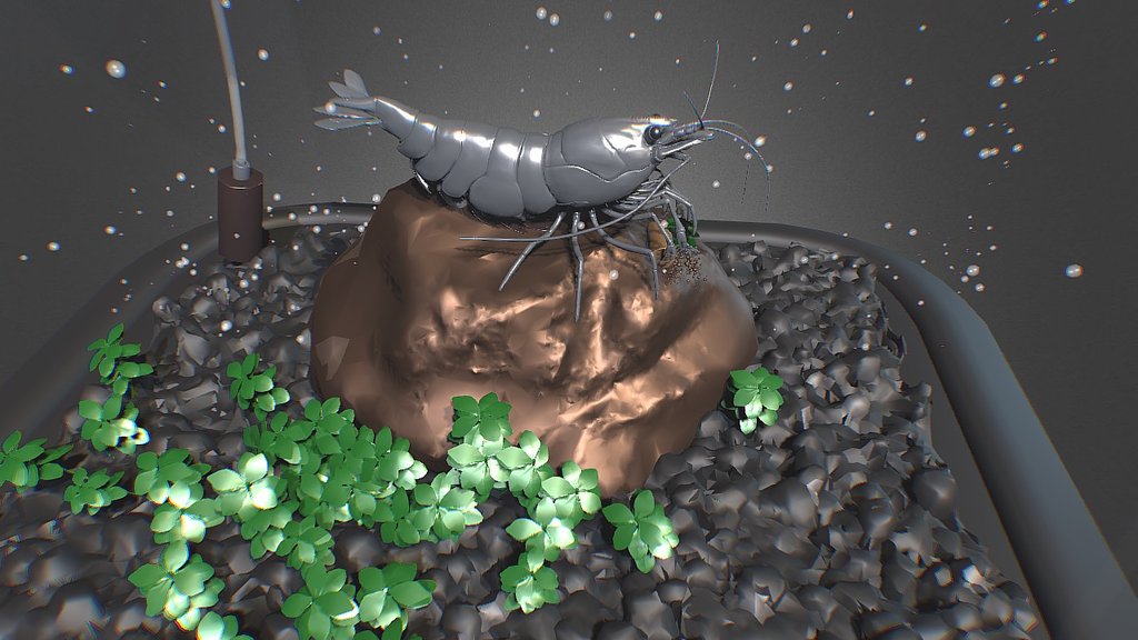 Shrimp - 3D model by Jevgeny Seiler (@ndrakey) [34ee588] - Sketchfab