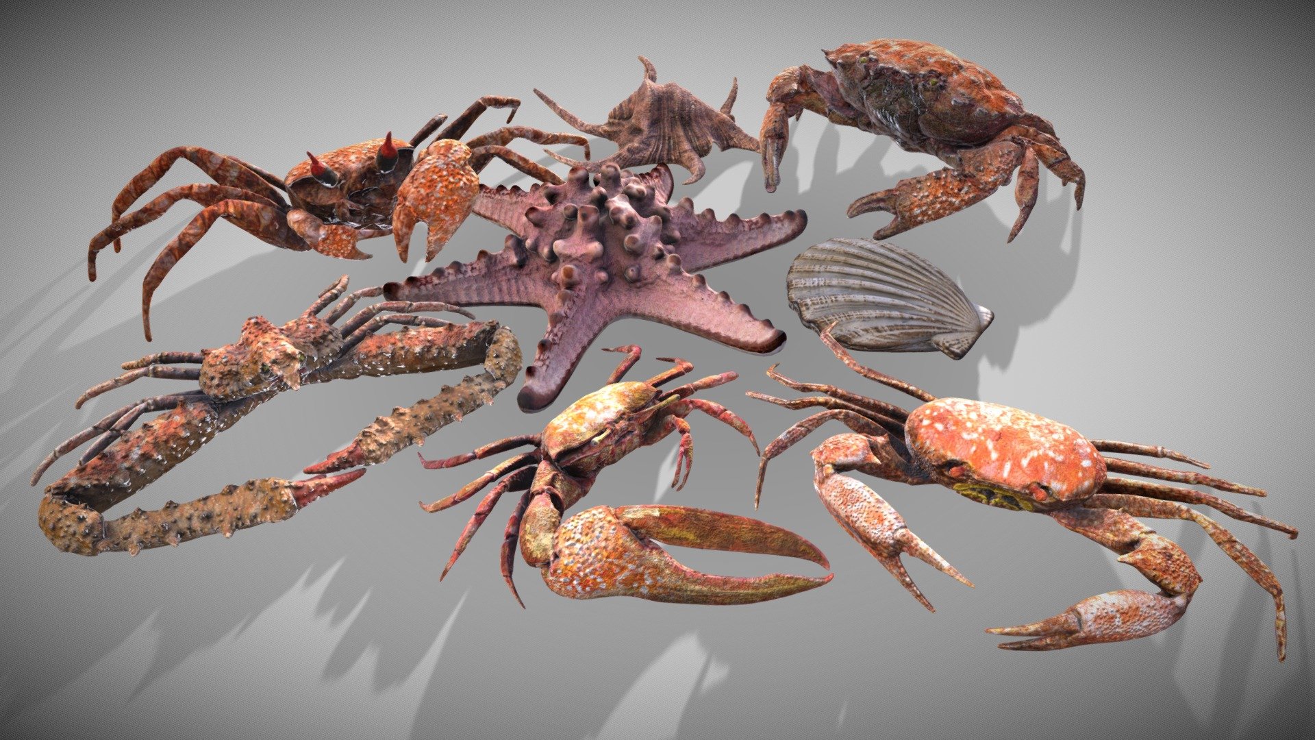 Composition Shellfish - Buy Royalty Free 3D model by Francesco Coldesina (@topfrank2013 ...