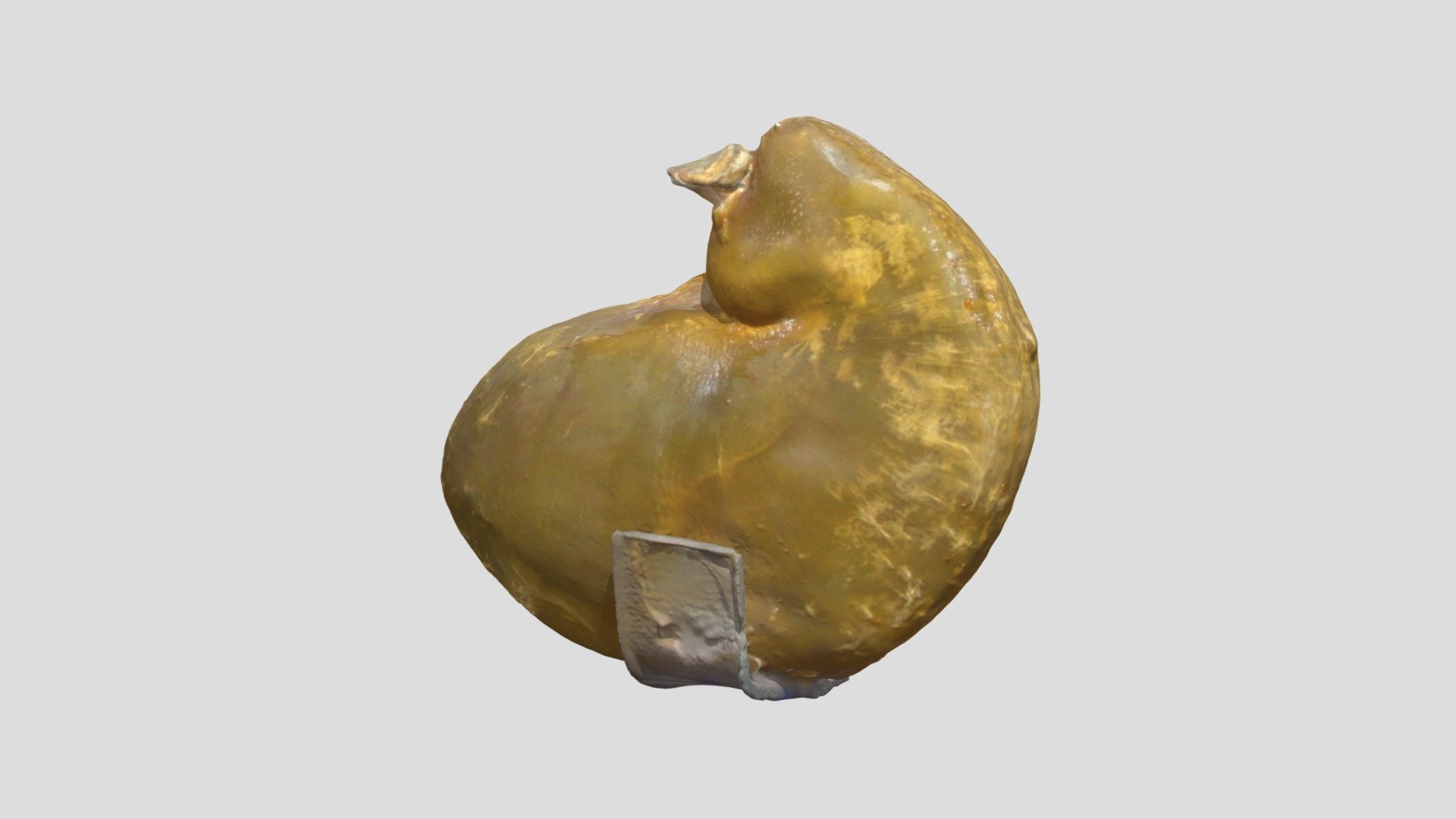 Estomago Equino - 3D model by AnatomiaVeterinaria_BiologíaCelular ...