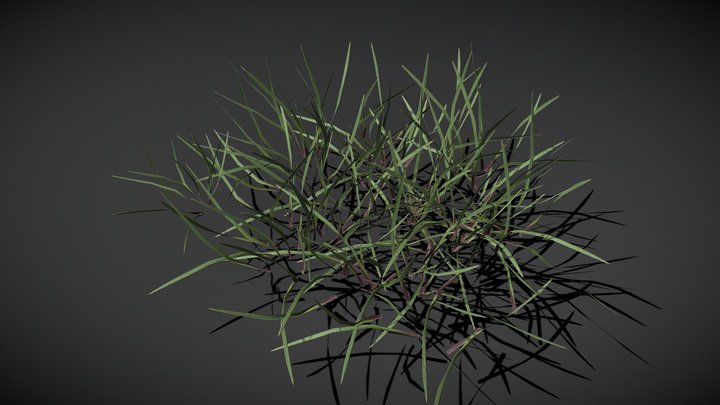 Grass 3D models - Sketchfab
