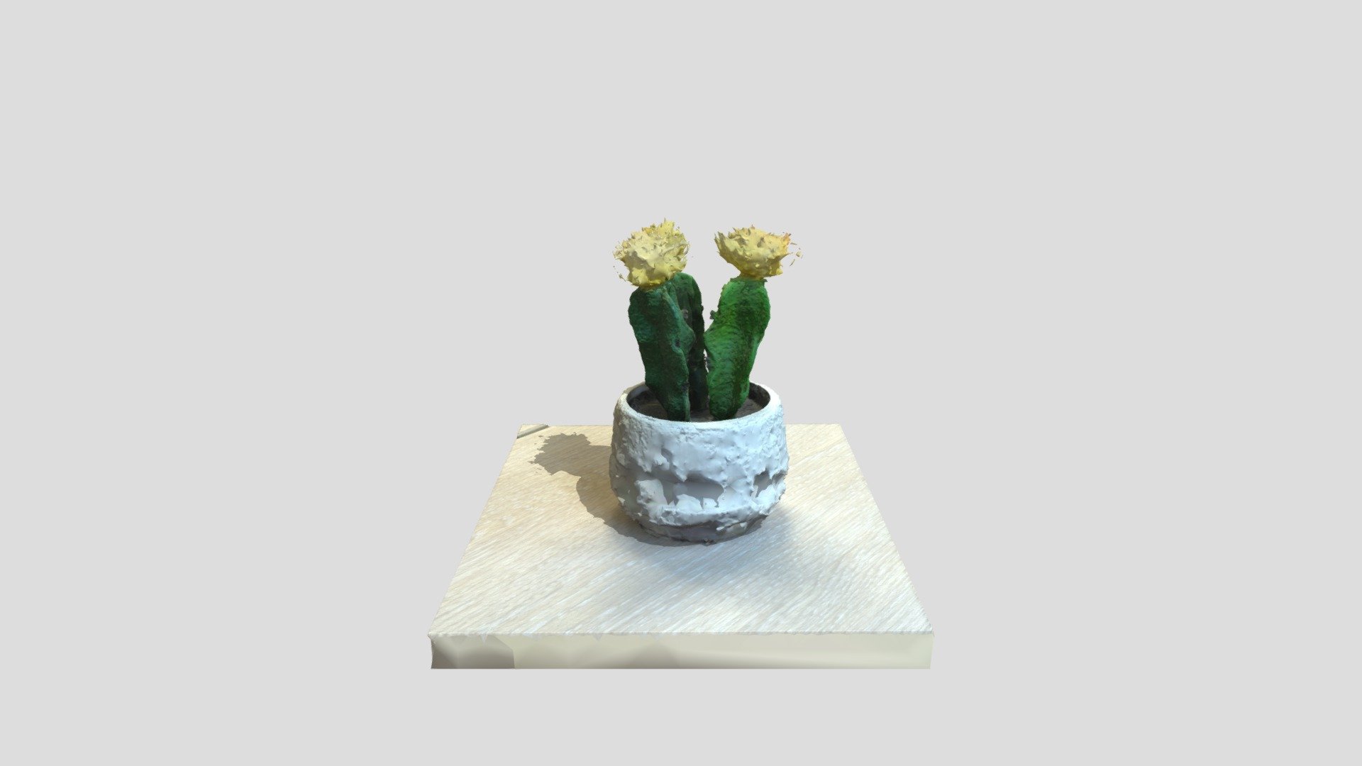 Cactus Model - 3D model by AlexShadow22 [3503175] - Sketchfab