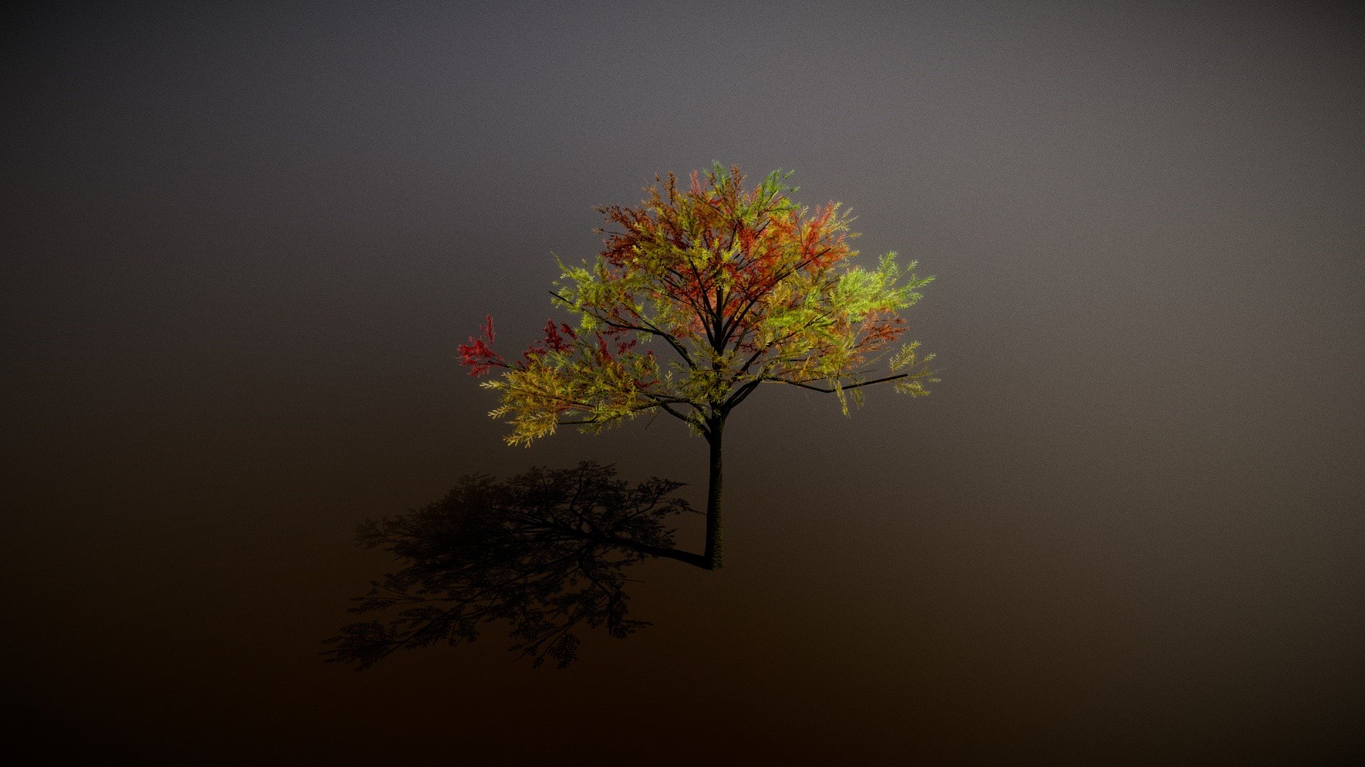 Acacia ( From "Tree It") - Download Free 3D model by Paul (Sketchfab ...