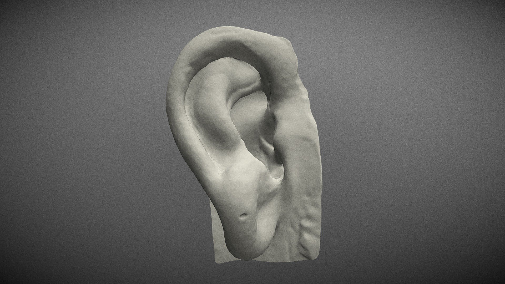 Ear 3D model - 3D model by Dr. Rodrigo Salazar Gamarra (@dr ...