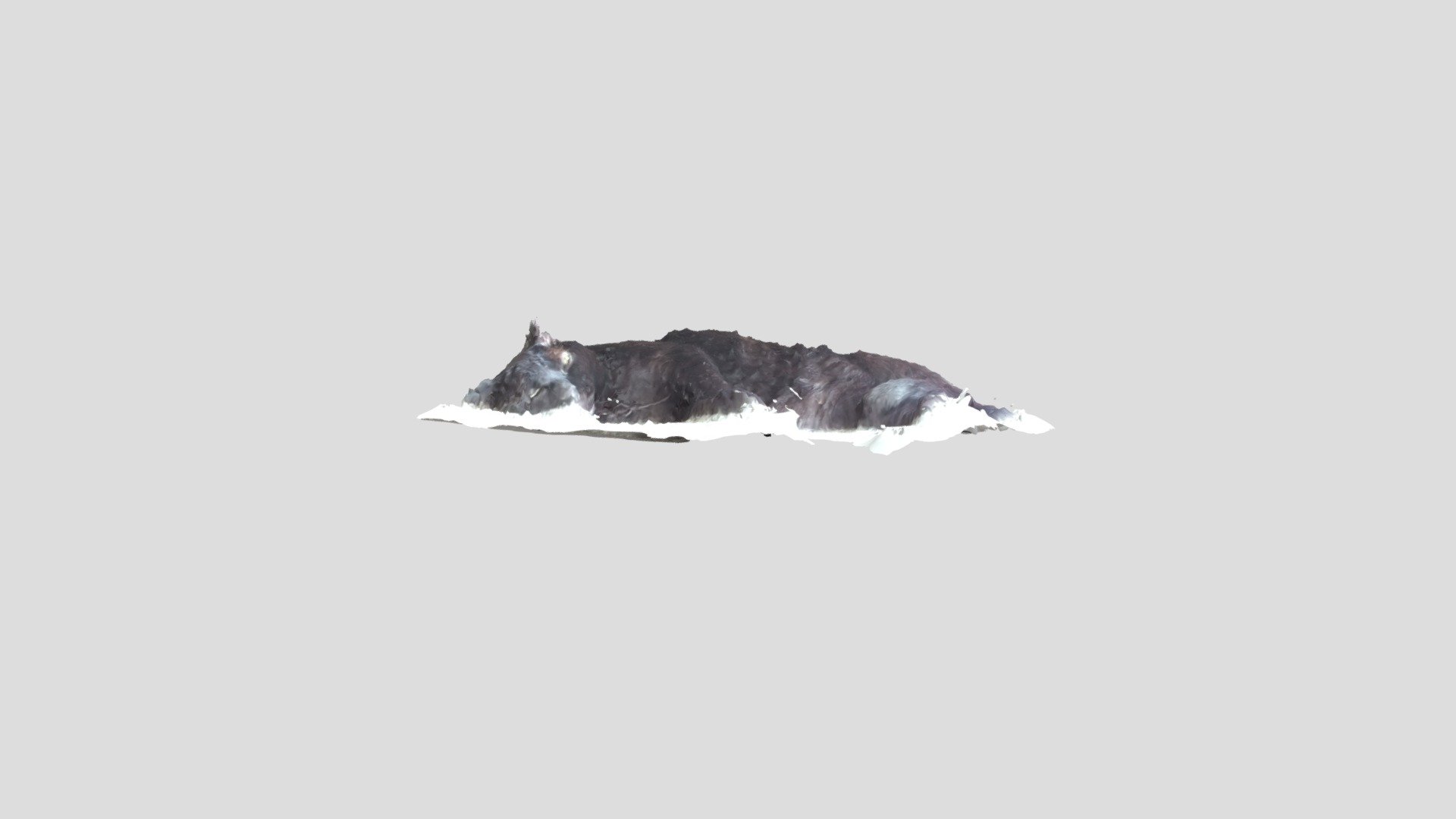 Chat - 3D model by tdudka [35176ed] - Sketchfab