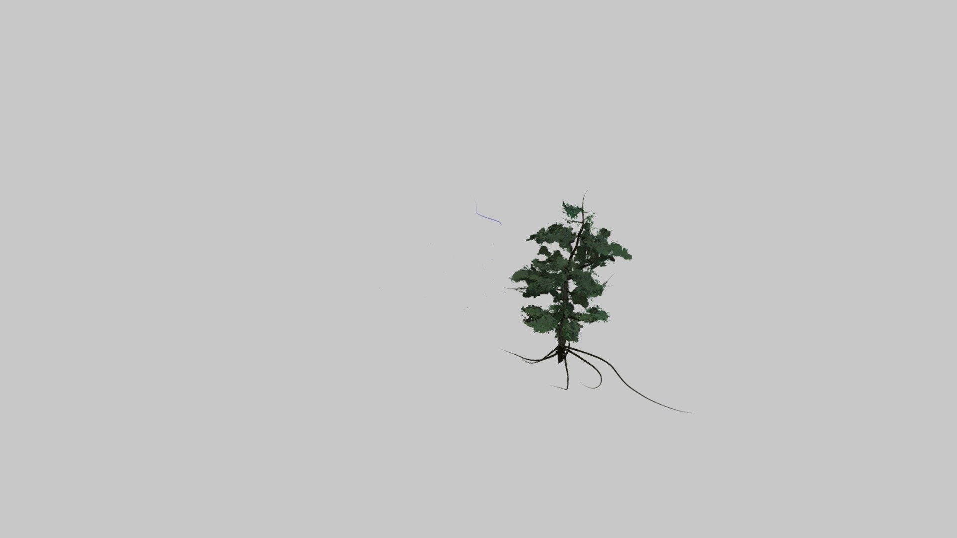 Albero_Erica - 3D model by mantina89 [35211e3] - Sketchfab