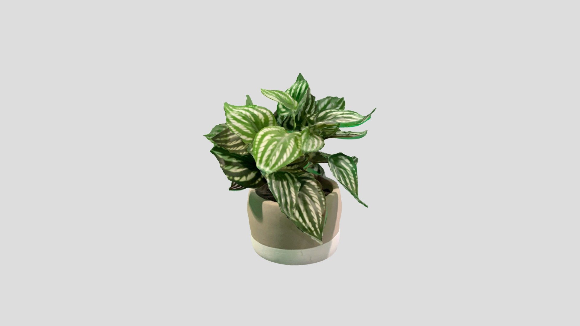 Plant Pot - Download Free 3D model by duchess (@duchrsd) [3522514 ...