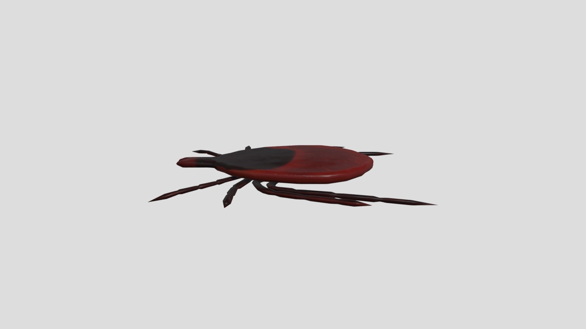 Tick - Download Free 3D model by ekgriffin [3523310] - Sketchfab