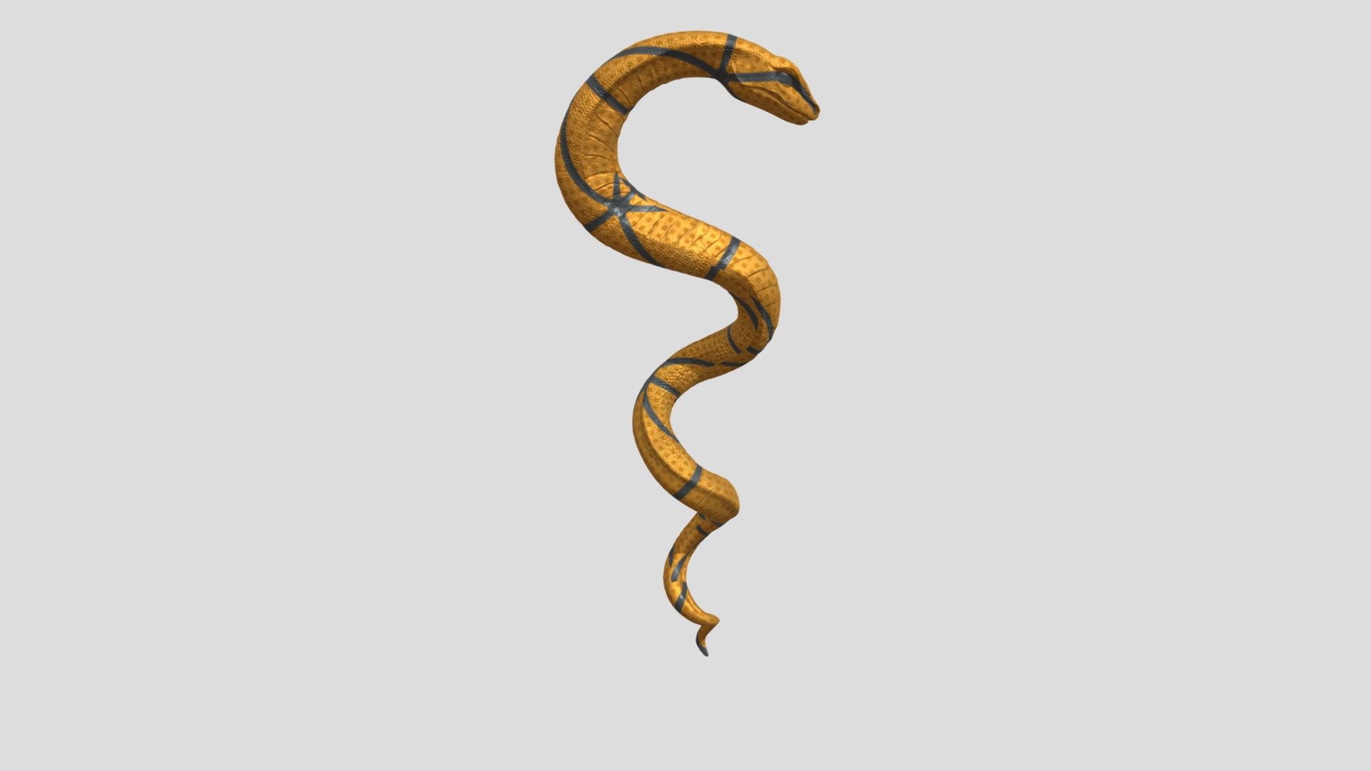 Snake0 1 Low - 3D model by Srebrnyy [3525148] - Sketchfab