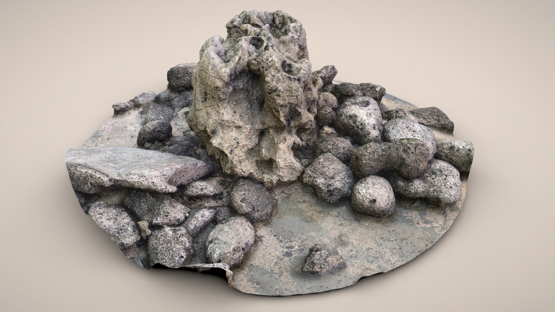 Coral Beach Scan - 3D model by Sakib_Khondaker [3535c33] - Sketchfab