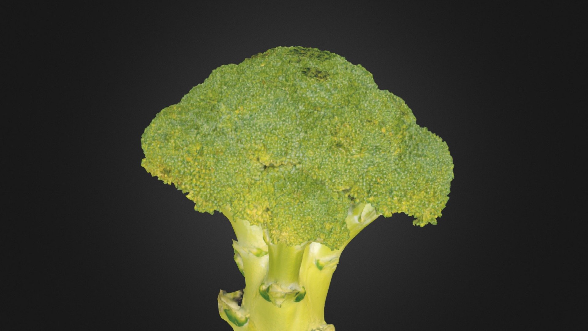 Broccoli - Download Free 3D model by Yu (@FFT_kedar) [3548f13] - Sketchfab