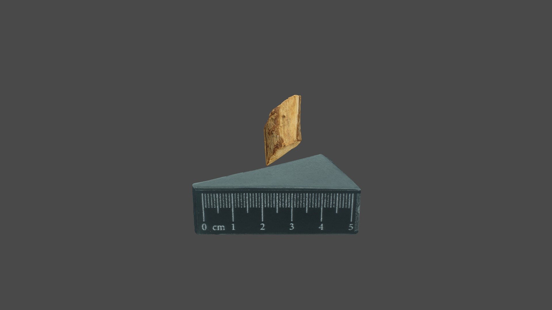 รากระงับพิษ scale bar - Download Free 3D model by 65201101047 [354c0b5 ...