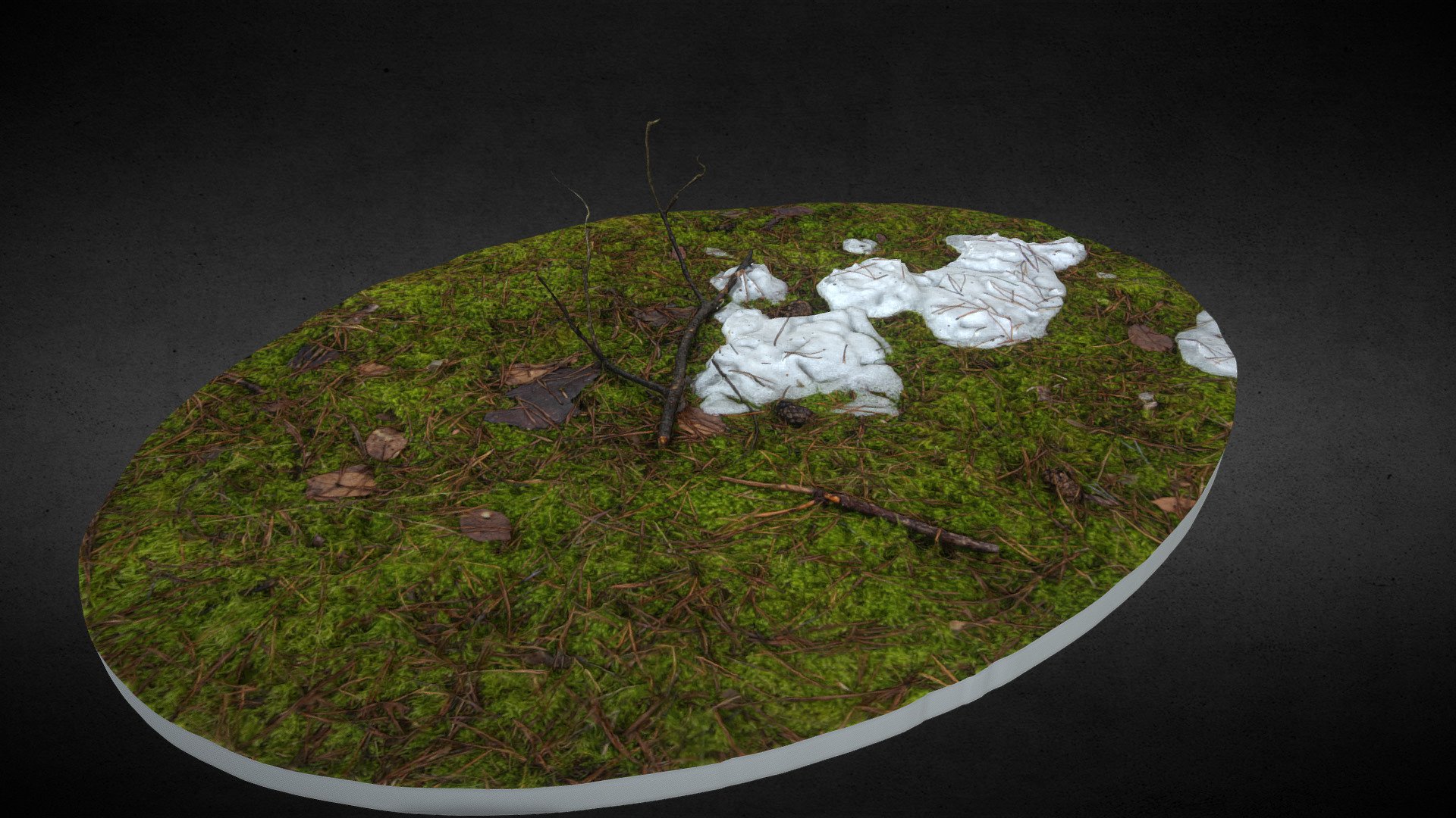 Moss patch - 3D model by Zygomir.Fabricati.Diem (@ZygomirFabricatiDiem ...
