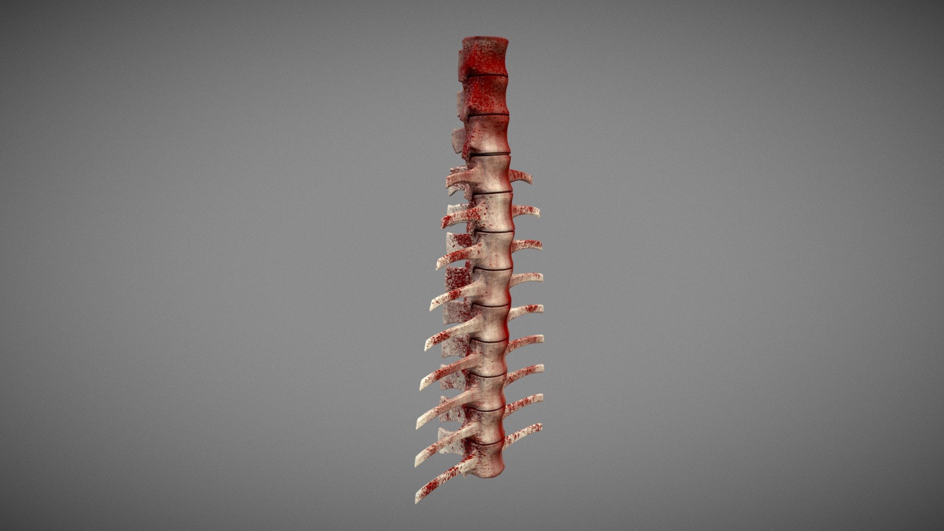 Goat's Spine - 3D model by Tricky NPC (@tricky.npc) [3553e45] - Sketchfab