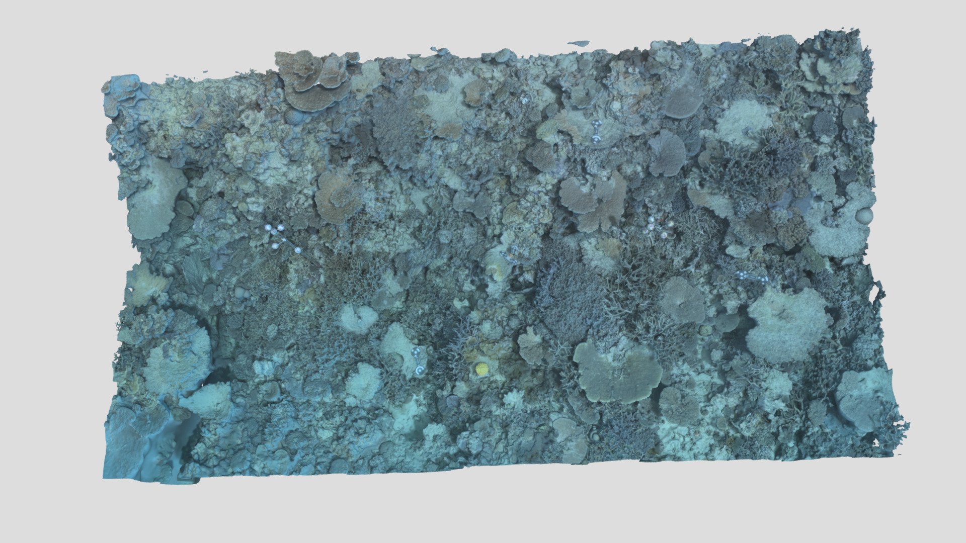 Heron_BA2S_P1_202305 - Download Free 3D model by EcoRRAP (@AIMSEcoRRAP ...
