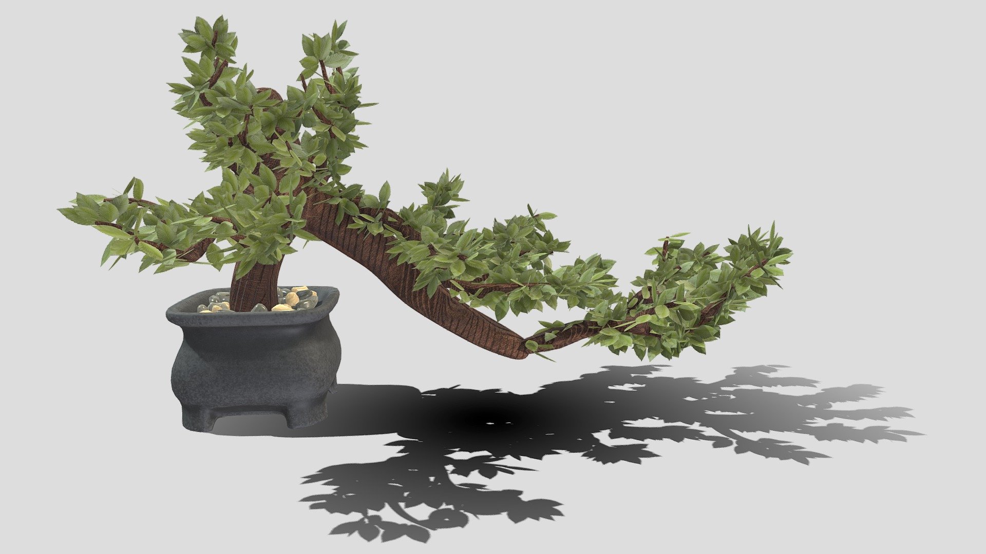 Bonsai Plant - Buy Royalty Free 3D model by Rzyas [3562907] - Sketchfab ...
