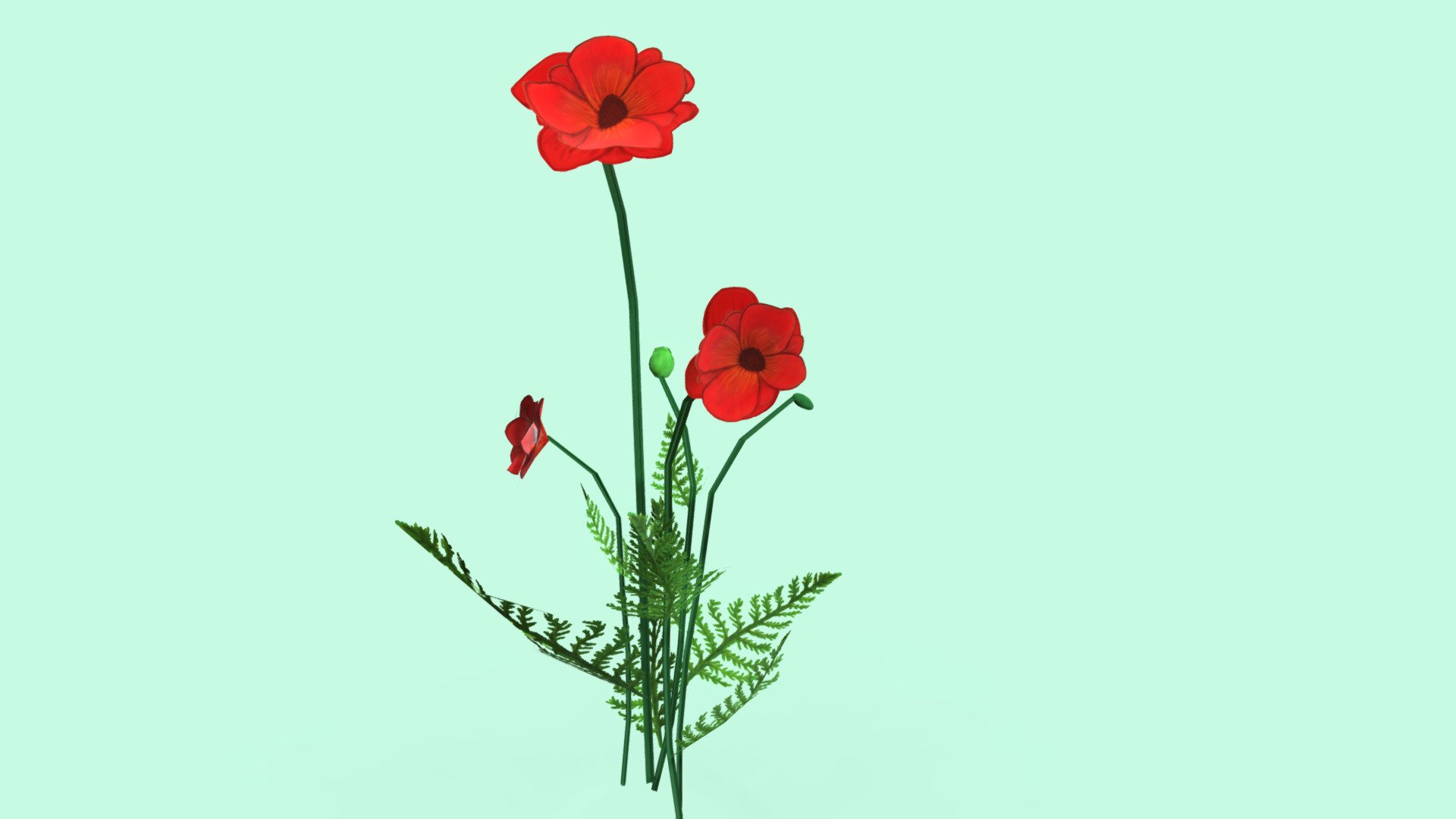 Poppy flower - 3D model by Solear [356e7a4] - Sketchfab